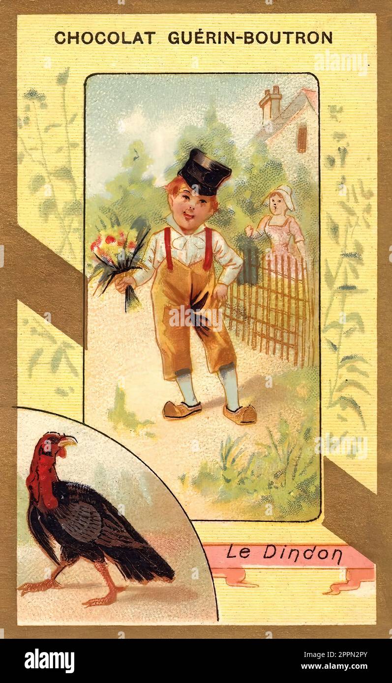 The Turkey - Vintage French Tradecard - Belle Epoque Era Stock Photo ...