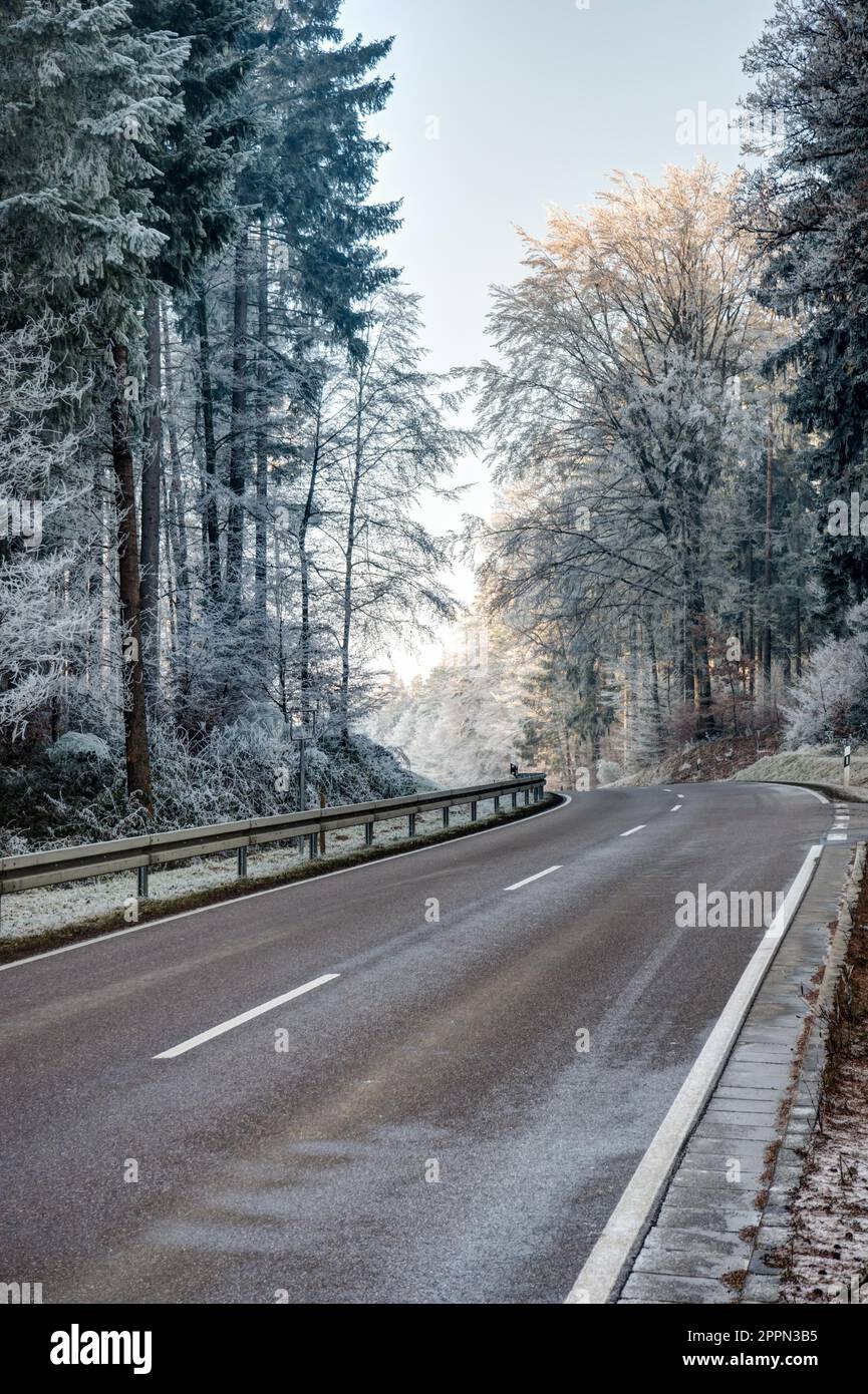 Road through a forest with frosted trees (Bavaria) (Germany Stock Photo ...