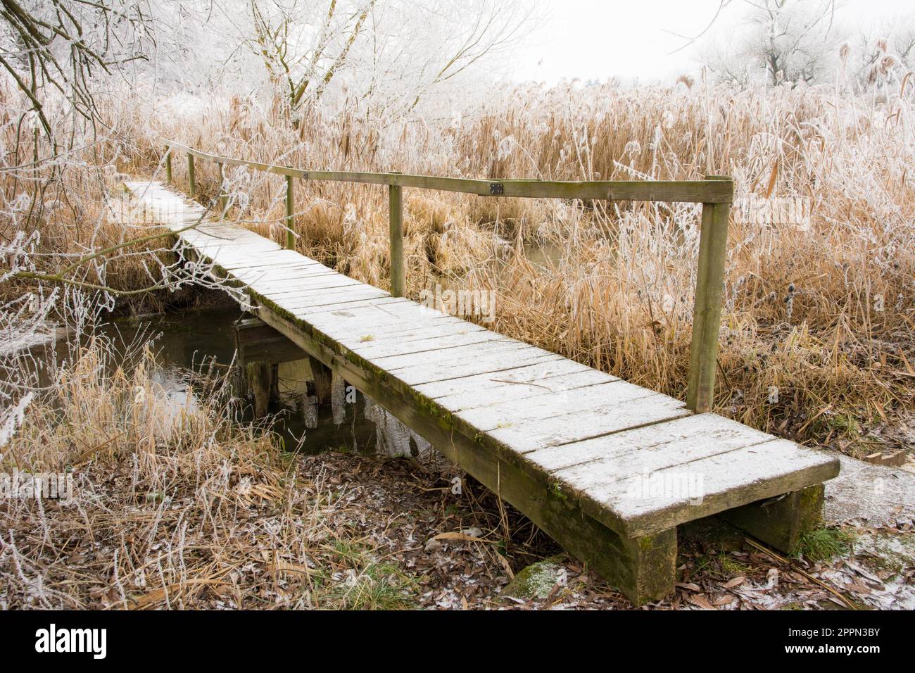Winter landscape with an old wooden bridge in a landscape conservation ...