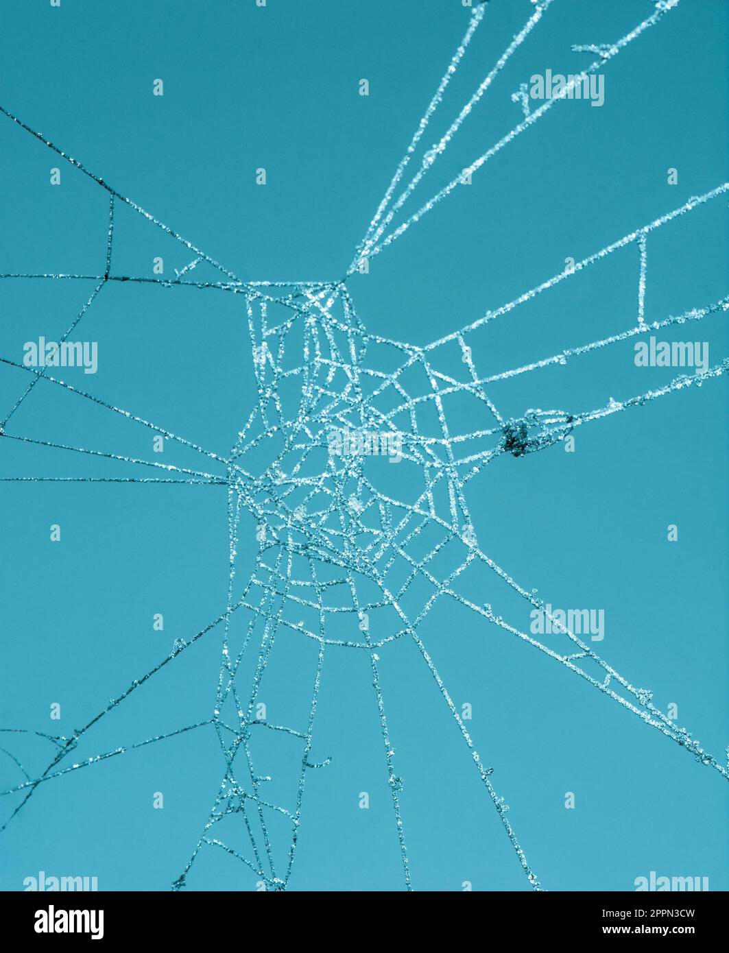 Spiderweb structure hi-res stock photography and images - Alamy