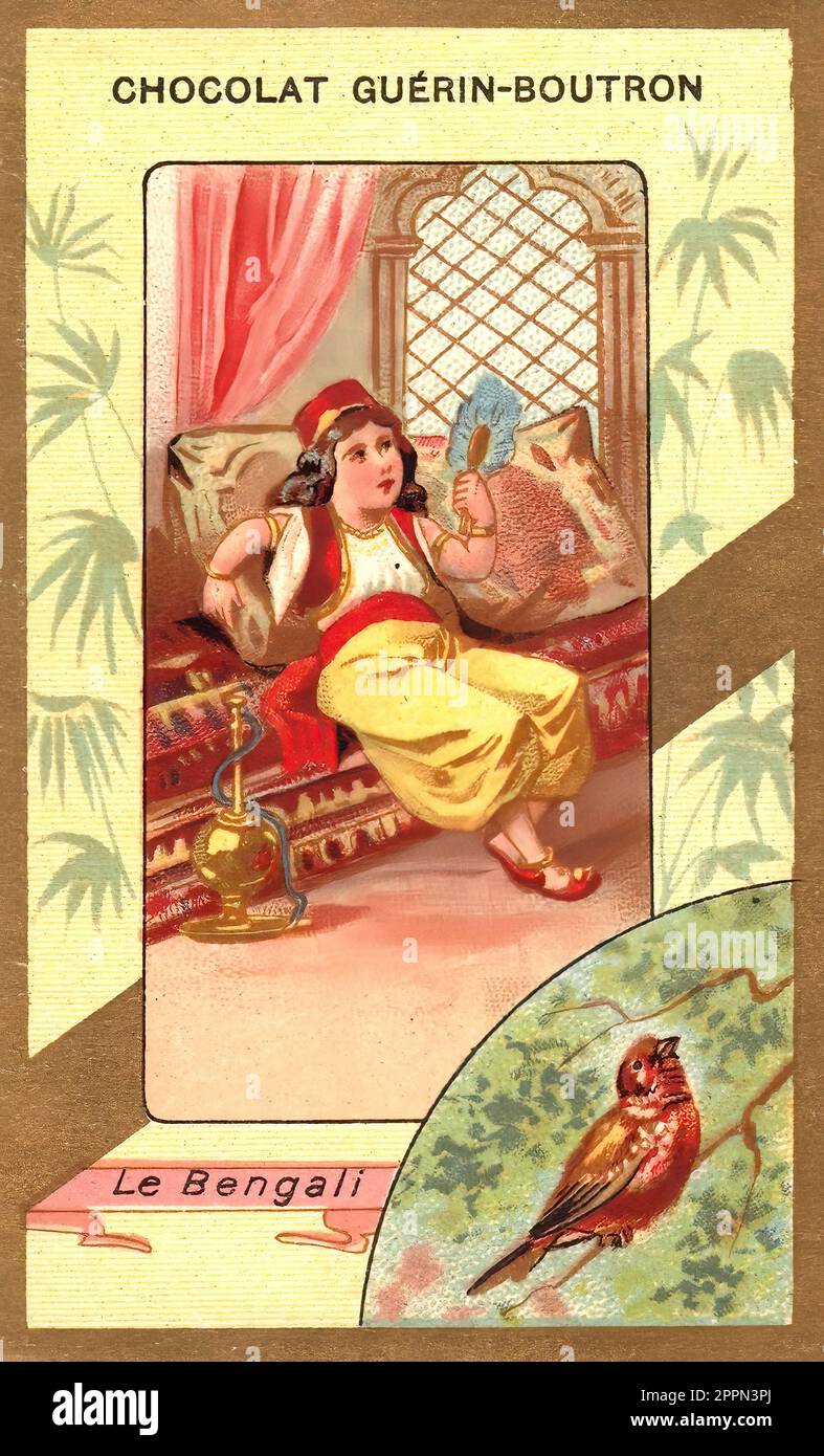 The Bengali - Vintage French Tradecard - Belle Epoque Era Stock Photo ...