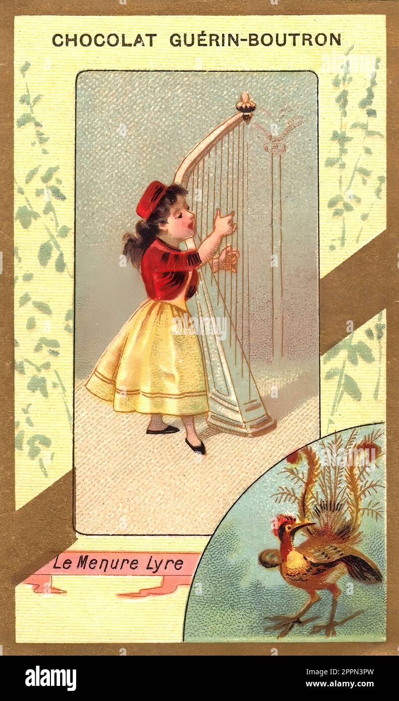 The Lyre Bird - Vintage French Tradecard - Belle Epoque Era Stock Photo ...