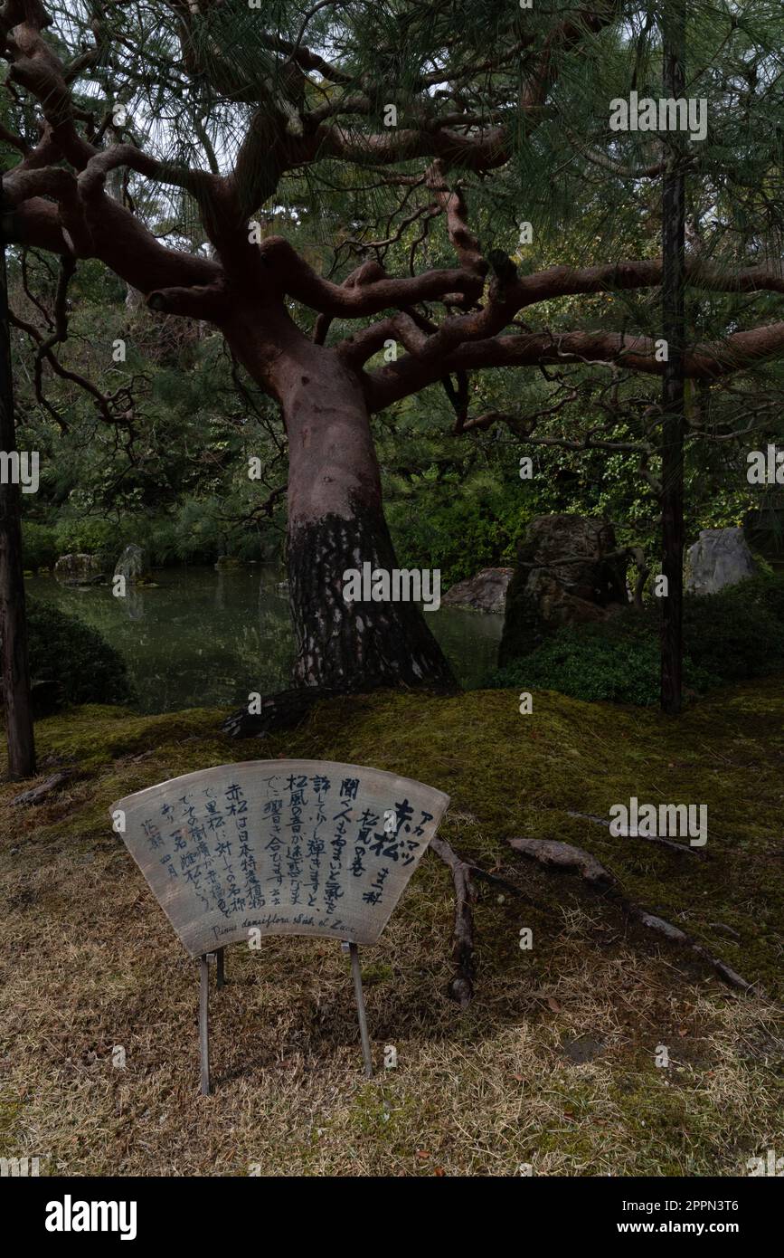 Jonangu - a shinto shrine in sothern Kyoto with traditional ...