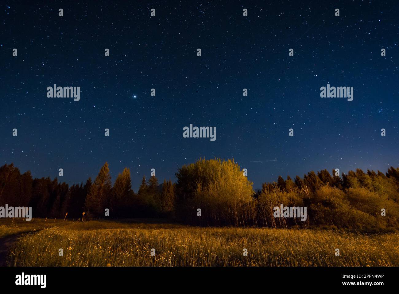 Natural night landscape under starlight Stock Photo - Alamy
