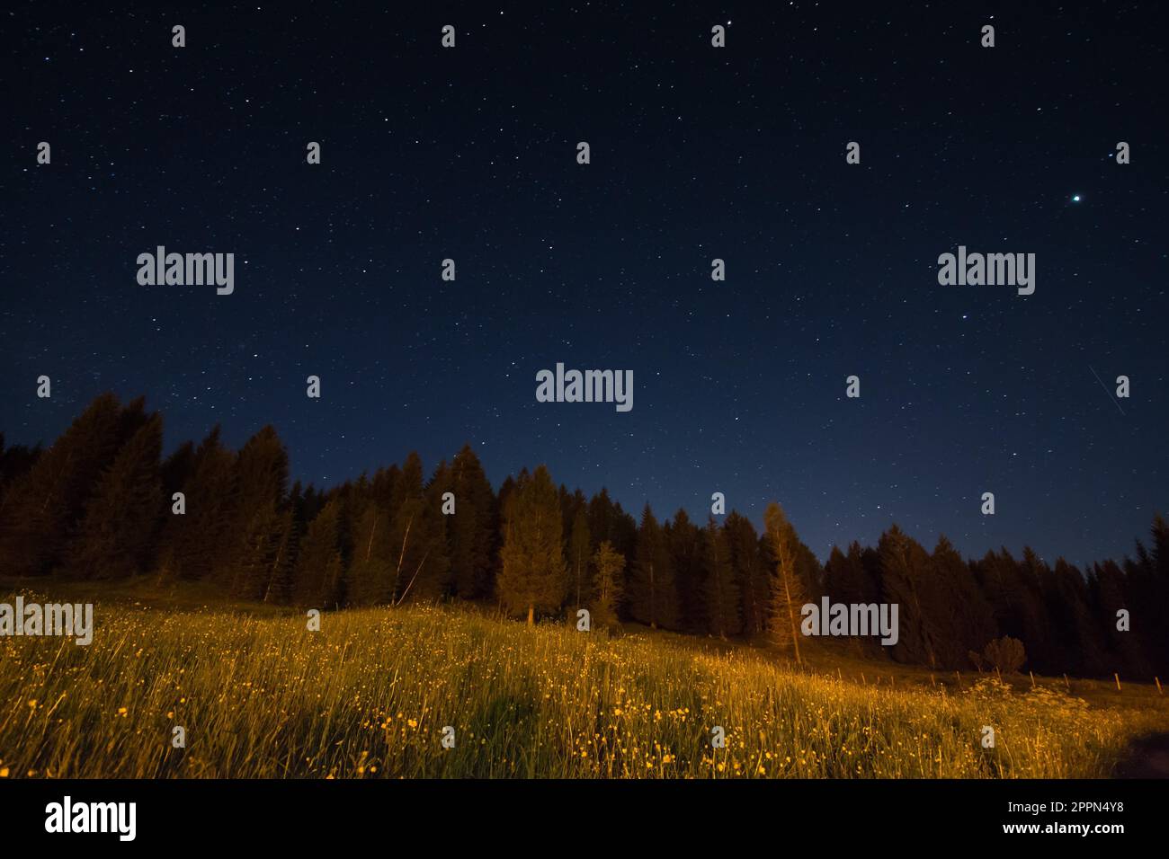 Natural night landscape under starlight Stock Photo - Alamy
