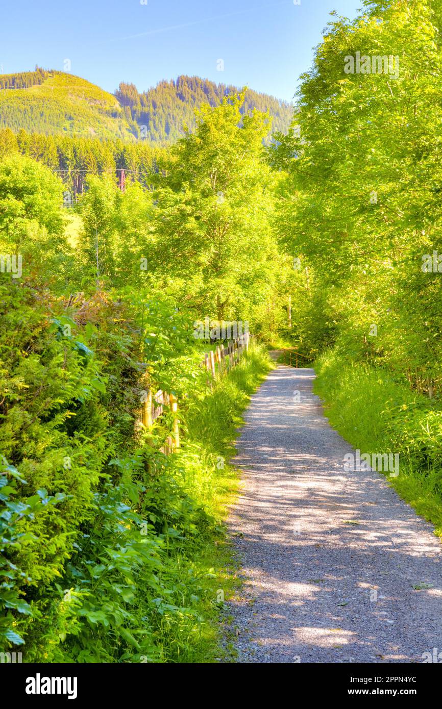 Shady hiking hi-res stock photography and images - Alamy
