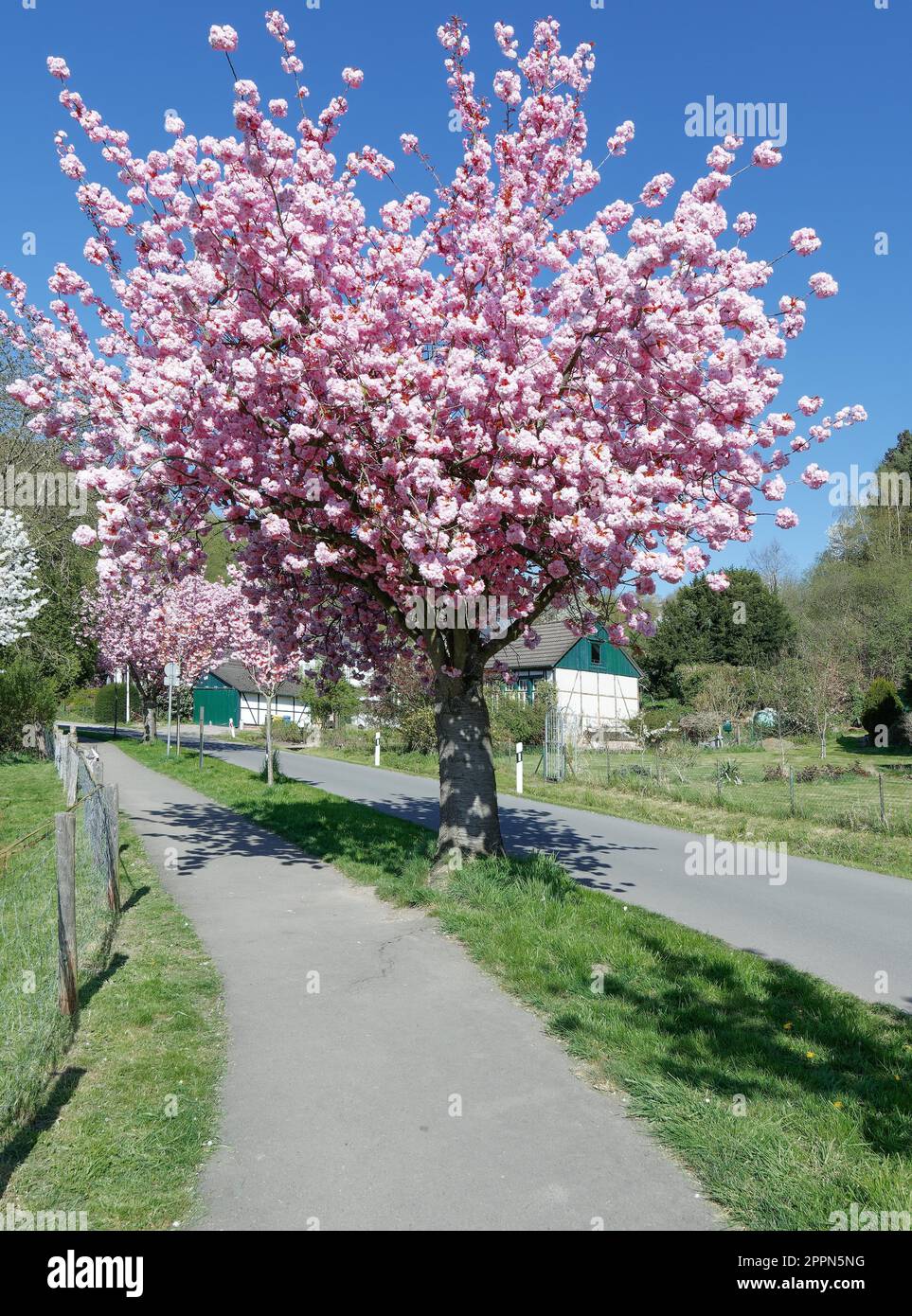 Solingen unterrueden hi-res stock photography and images - Alamy