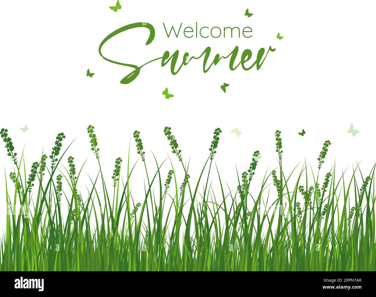 Welcome summer banner. Grass and flower on rustic summer background ...