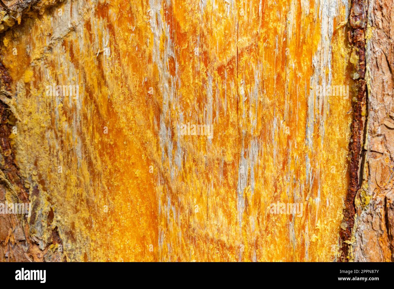 Resin flows hi-res stock photography and images - Alamy