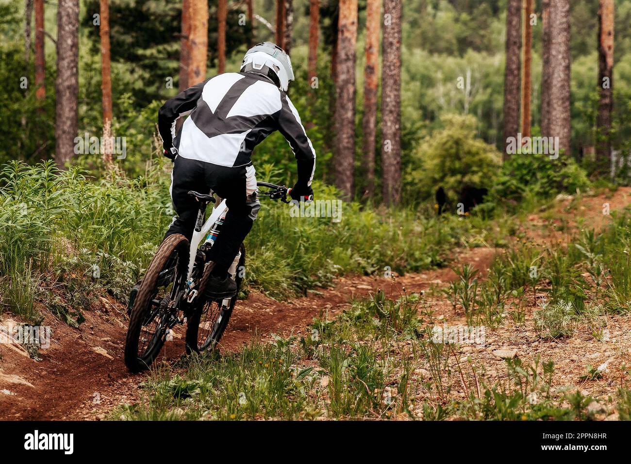 rear view male racer riding on forest path downhill race, mountain bike ...