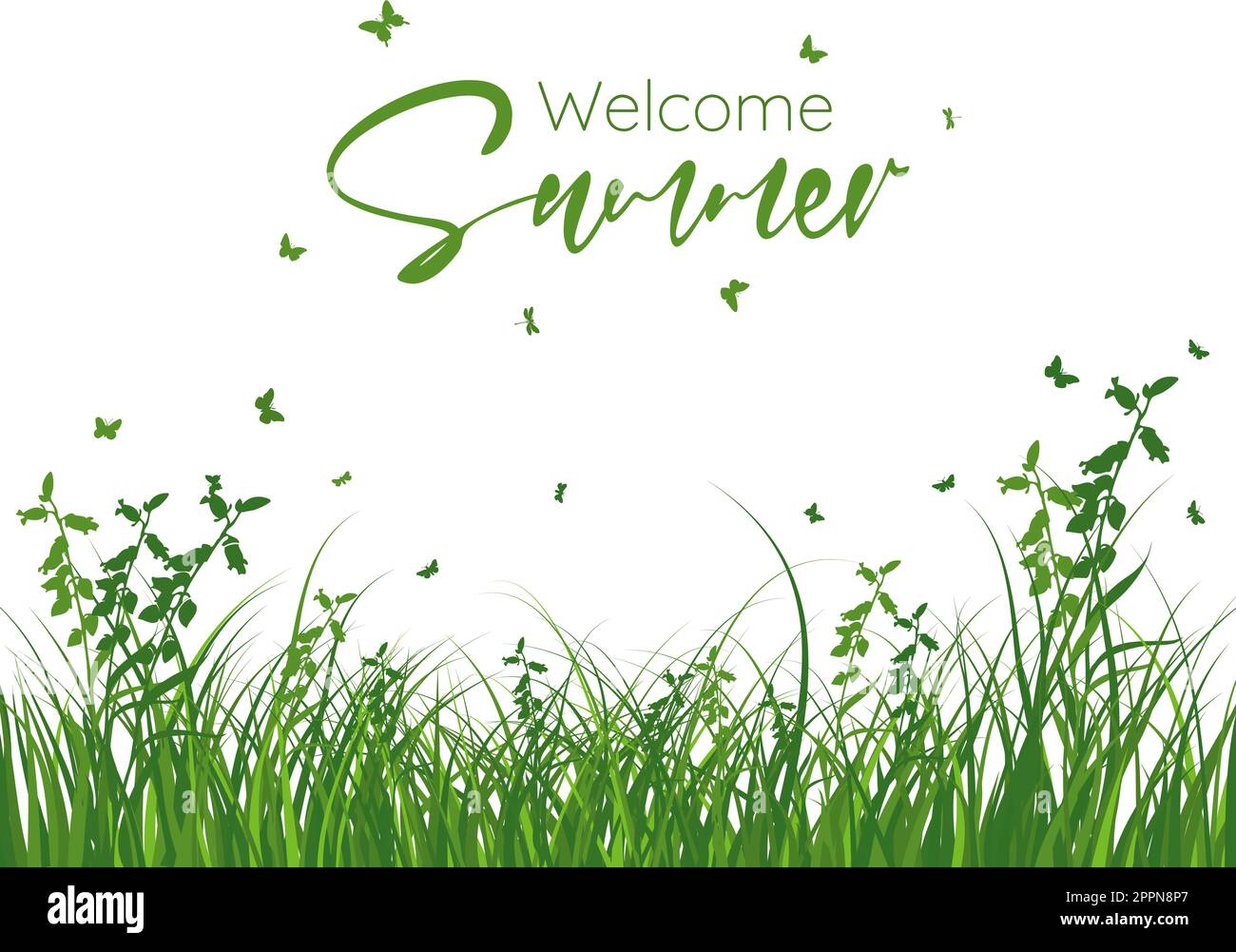 Welcome summer banner. Grass and flower on rustic summer background ...