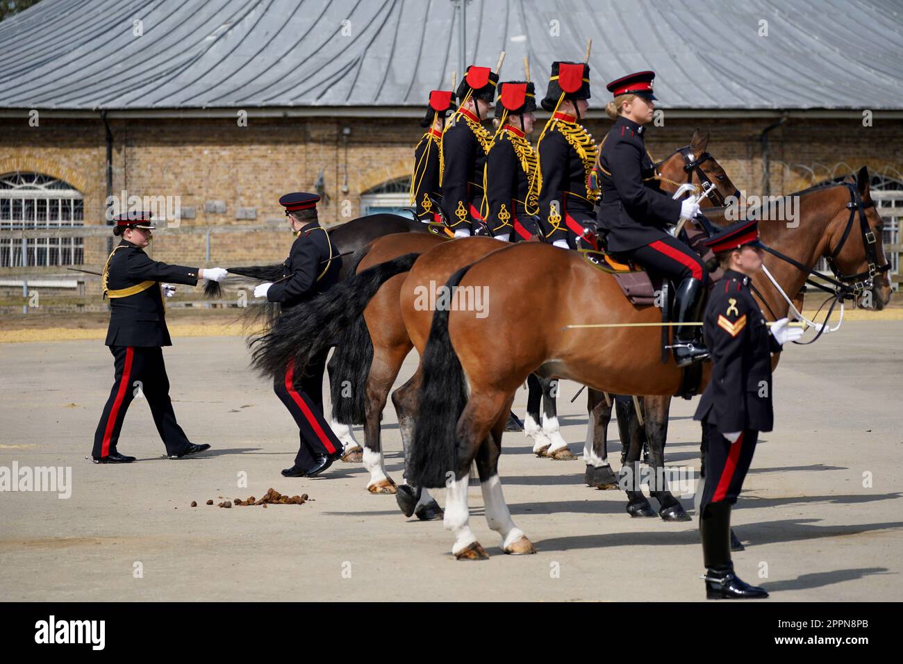 A member of the King's Troop, Royal Horse Artillery, during an Advanced ...