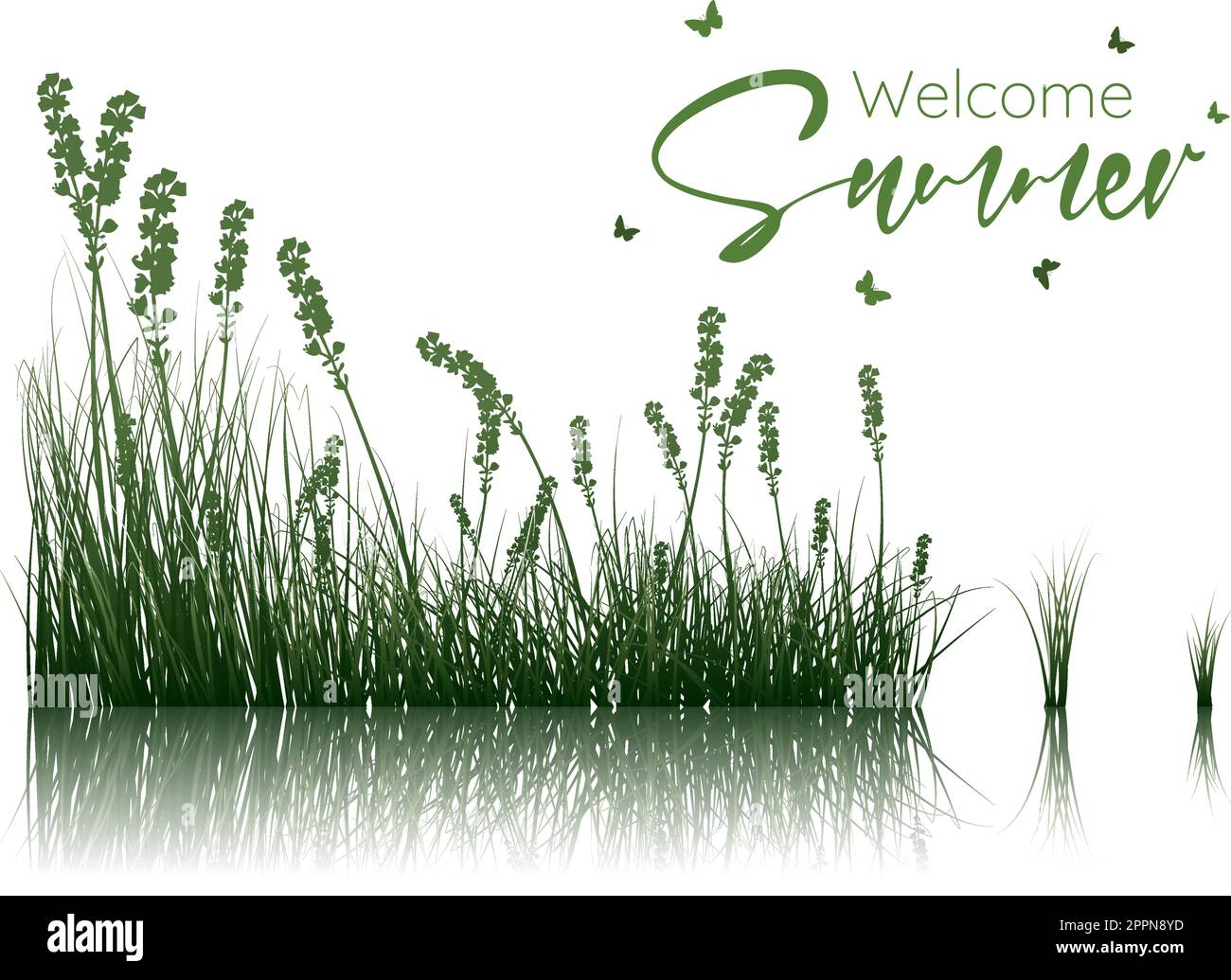 Welcome summer banner. Grass and flower on rustic summer background ...