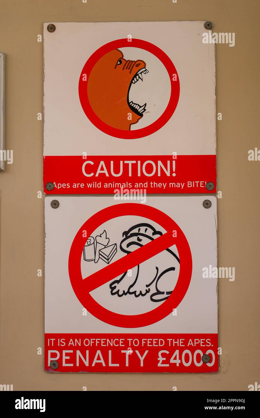 Warning sign against feeding the wild apes who reside at the top of the ...