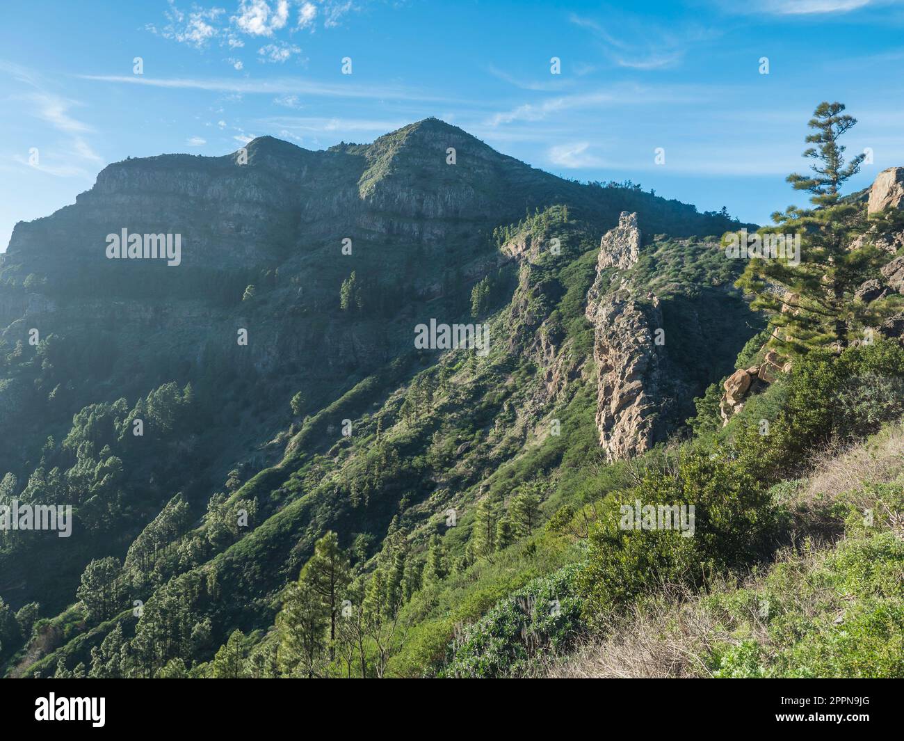 View of lush green landscape in central part of La Gomera island ...