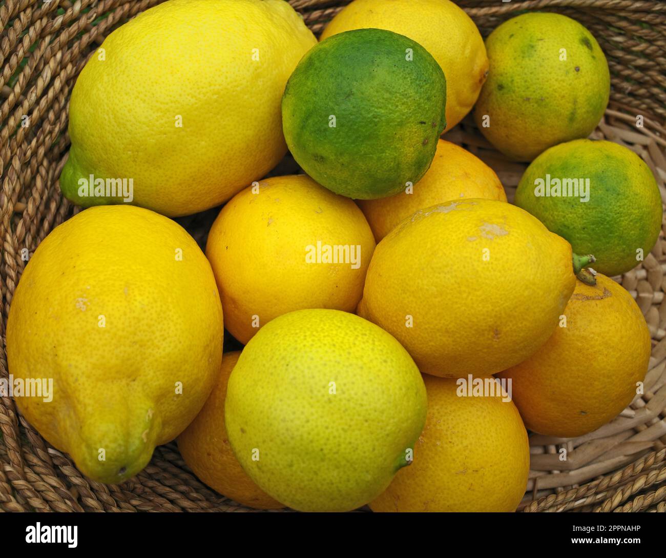 Various lemons hi-res stock photography and images - Alamy