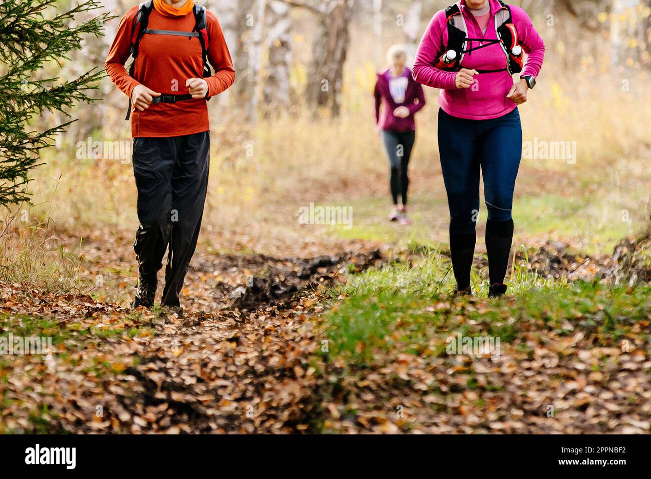 woman and man runners run autumn trail marathon on fallen leaves in ...