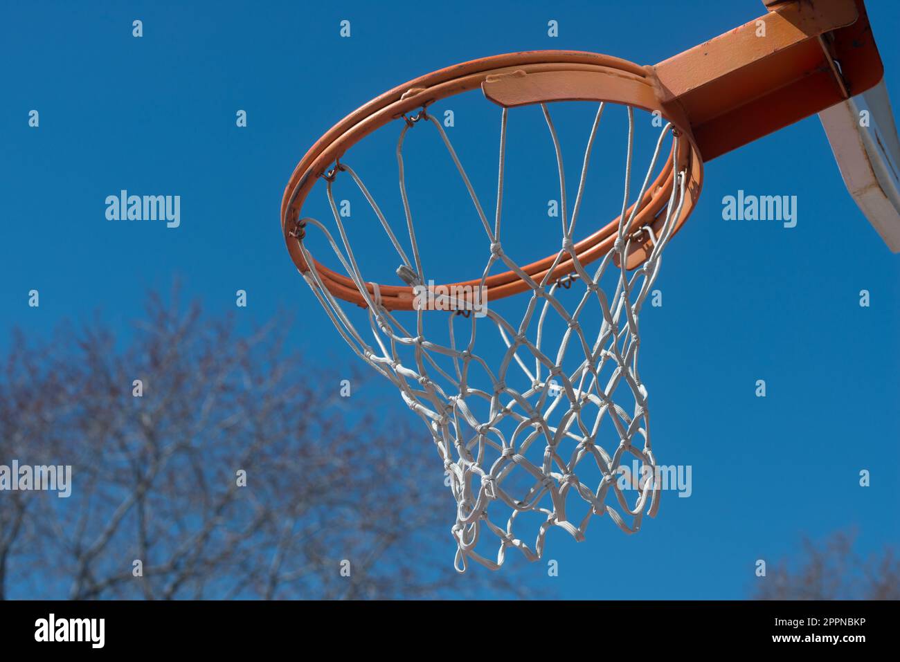 typical professional basketball hoop and netting photographed against a ...