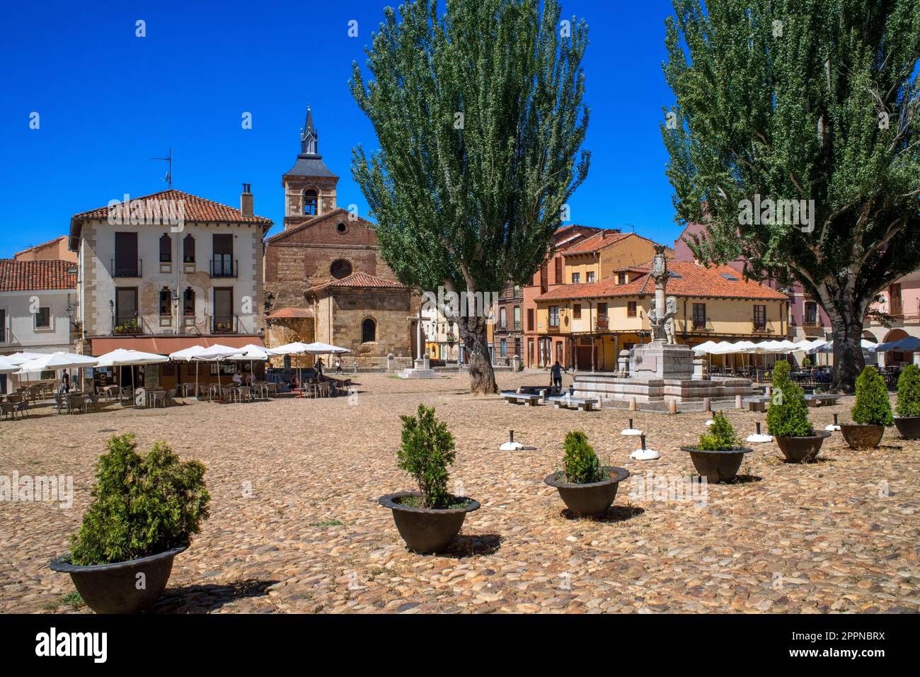 Leon grain square hi-res stock photography and images - Alamy