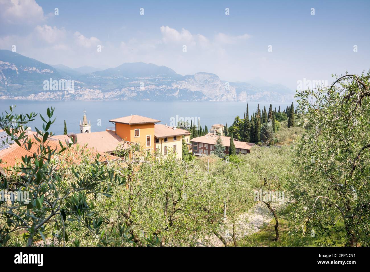 Garda lake olive tree hi-res stock photography and images - Alamy