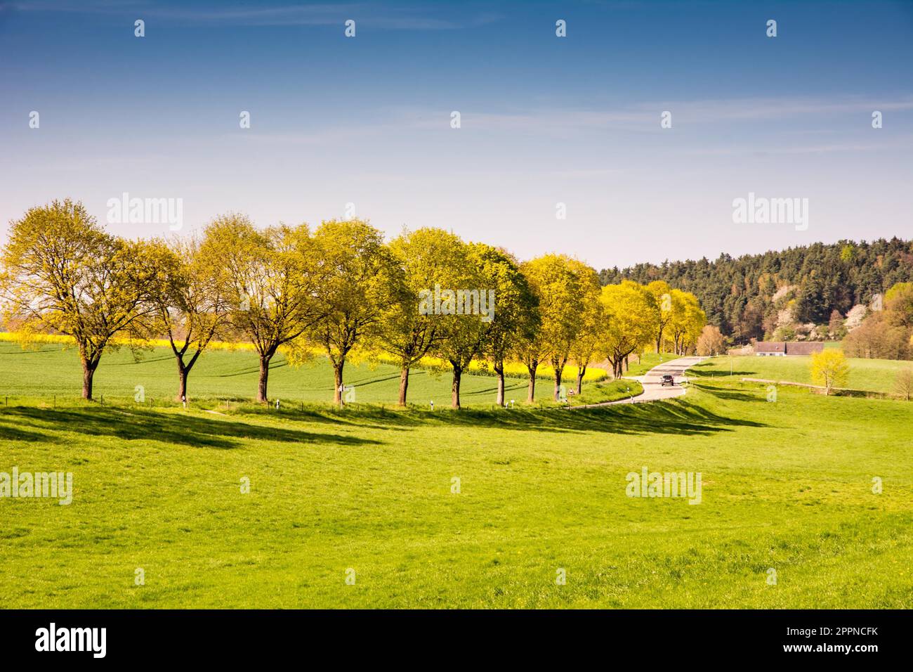 Landscape along country road hi-res stock photography and images - Alamy