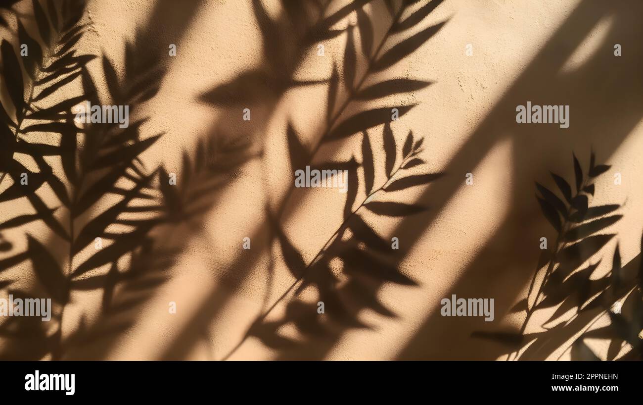 Shadows cast over wall hi-res stock photography and images - Alamy