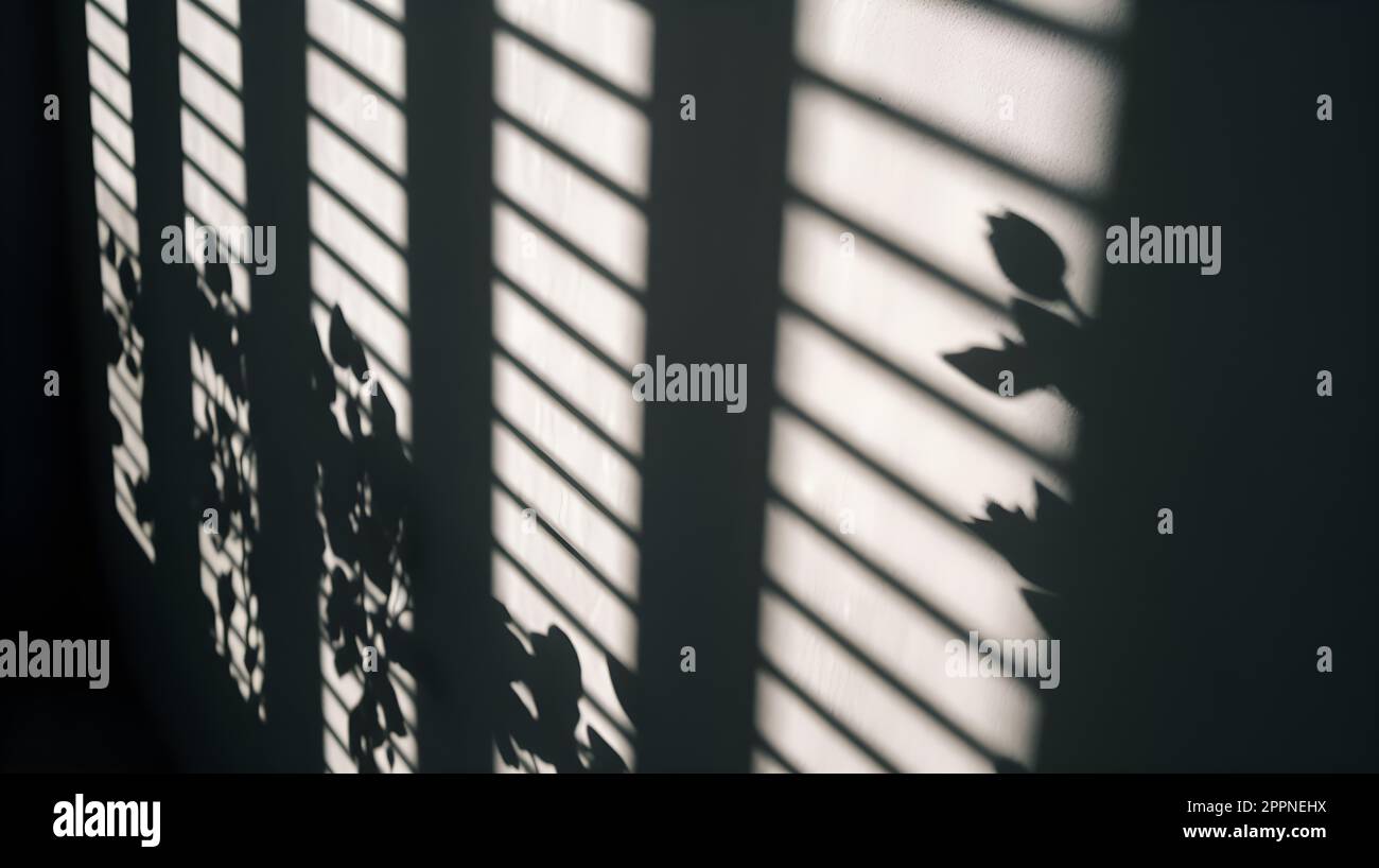 Wall with cast shadow patterns hi-res stock photography and images - Alamy