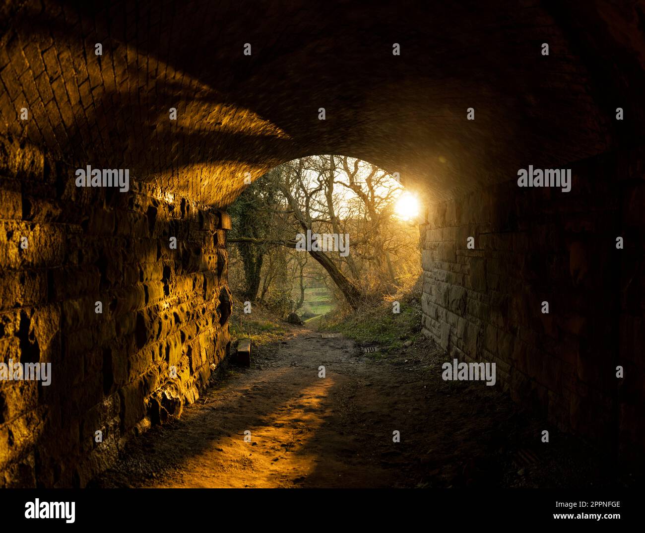 Sunset and trees through a small tunnel pathway under a railway line ...