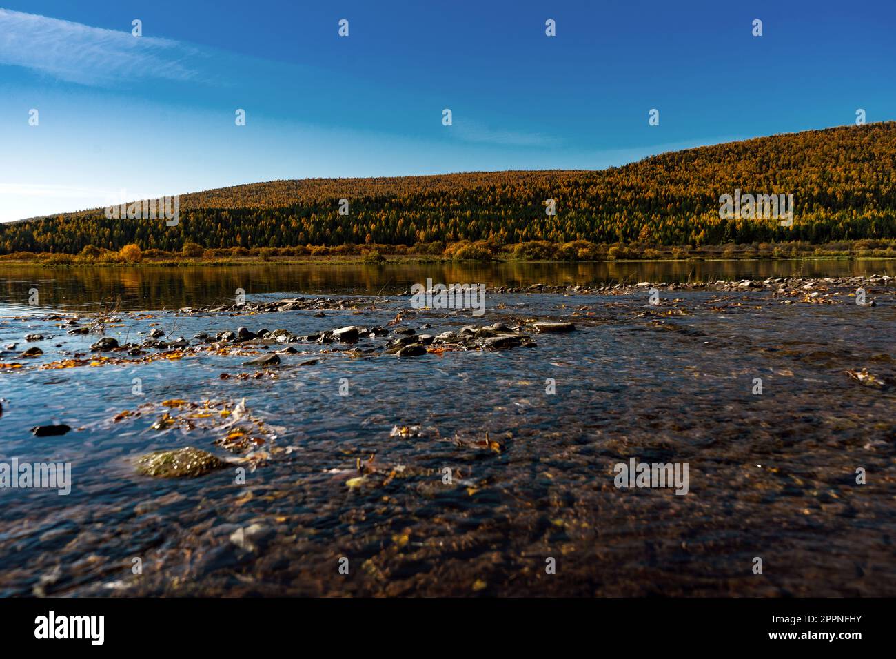 Lena River bank in Siberia. Shallow shore with rocks and hills with ...