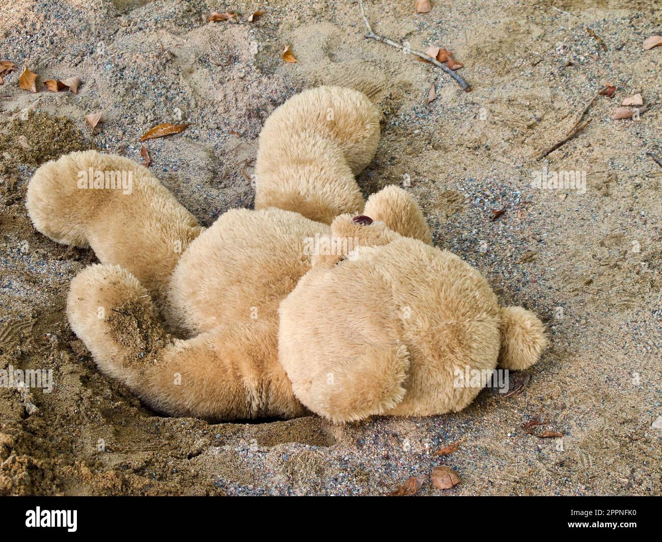 Light brown teddy bear laying down in the sandbox at childrens ...