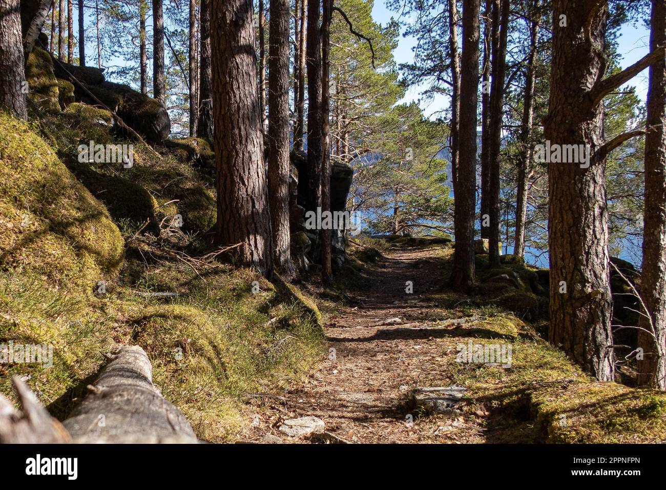 Boverfjorden hi-res stock photography and images - Alamy