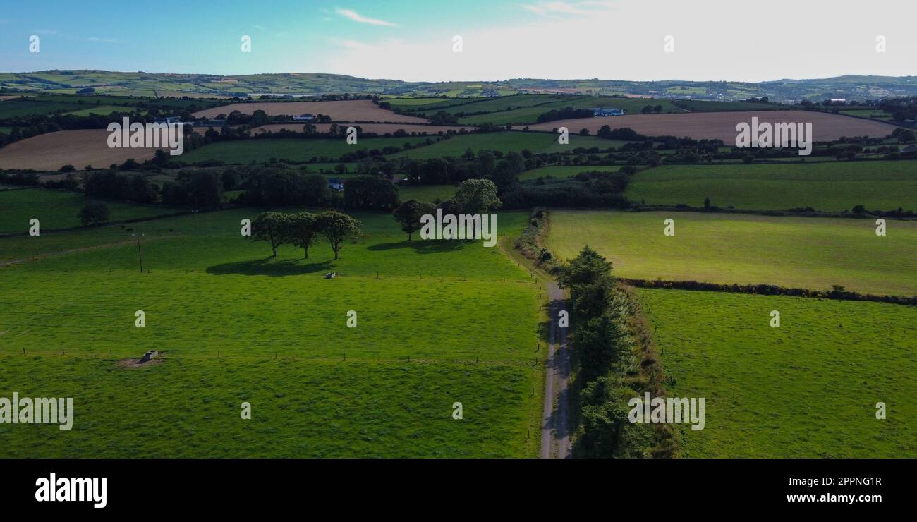 Irish farm fields, top view. Agricultural landscape in summer. Grass ...