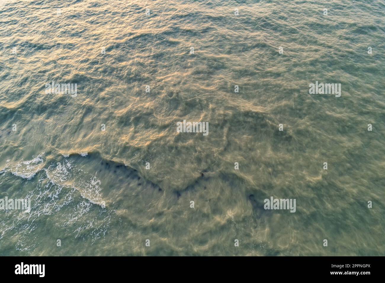 The surface of the sea in shallow water with waves and muddy water ...