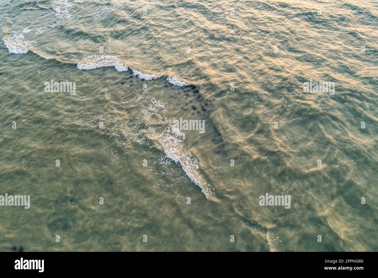 The surface of the sea in shallow water with waves and muddy water ...