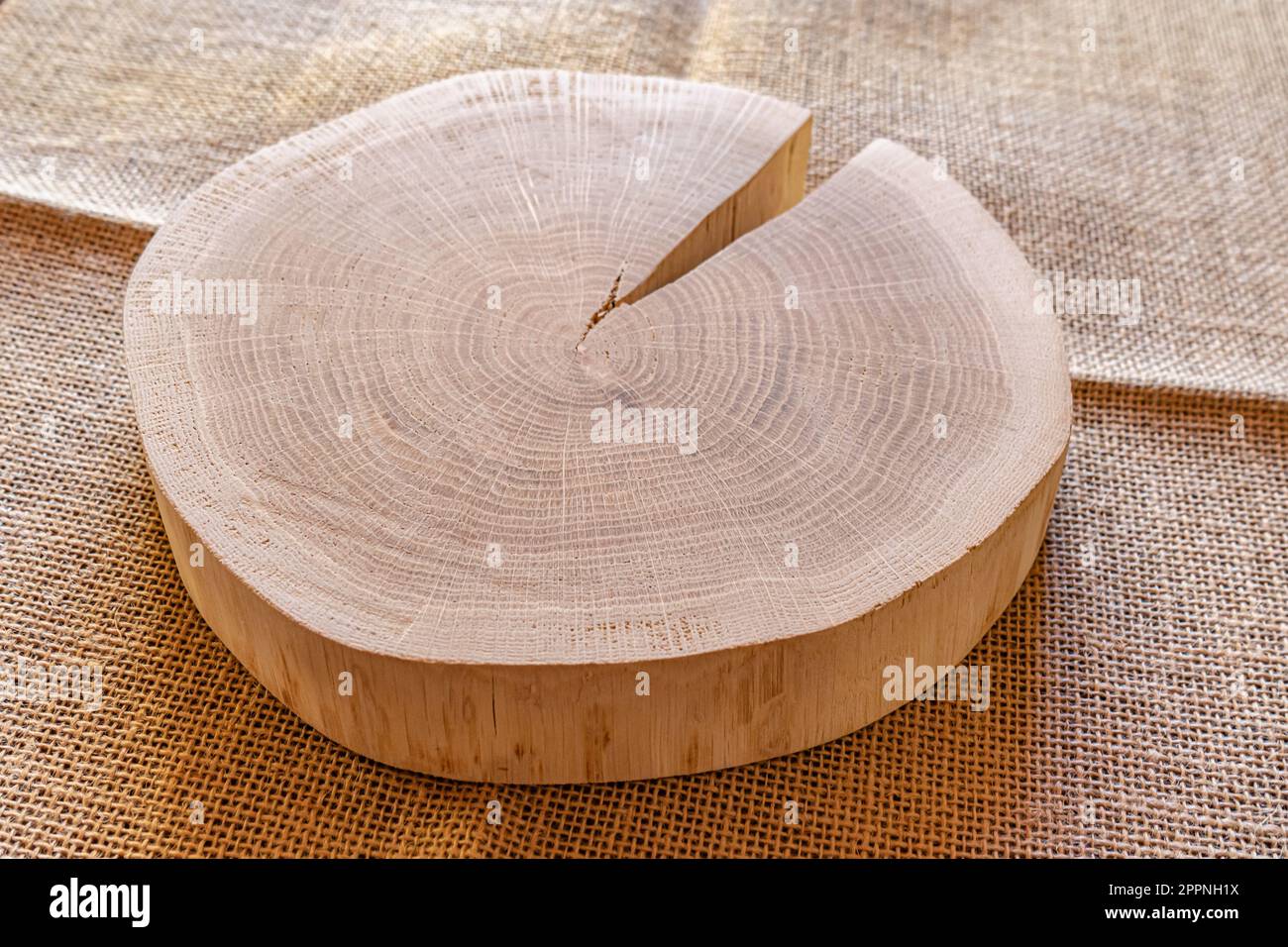 Oak cross section hi-res stock photography and images - Alamy