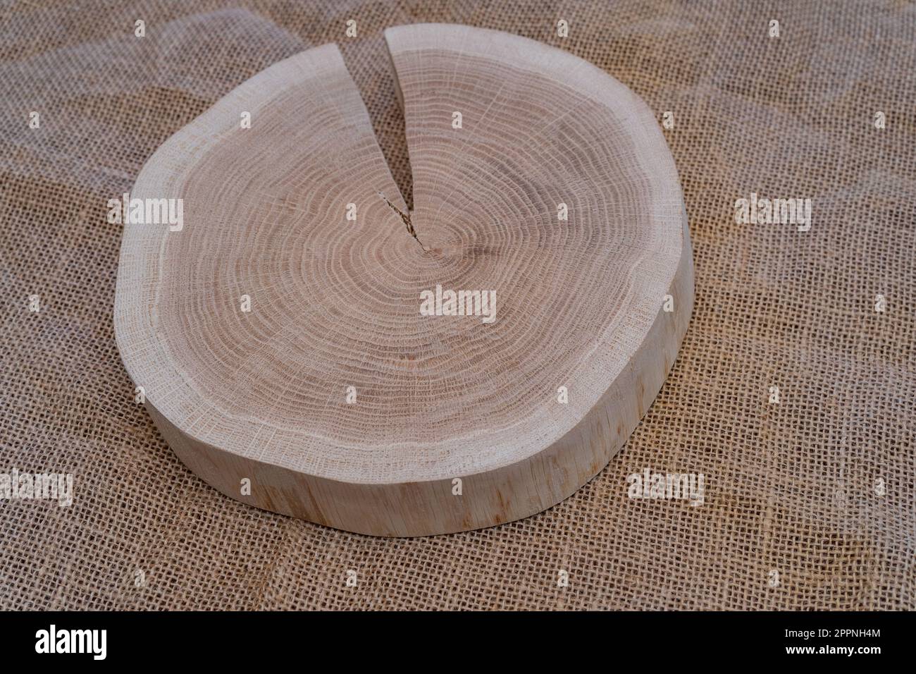 Wooden stump, cross section, cut wood tree trunk slice Stock Photo - Alamy