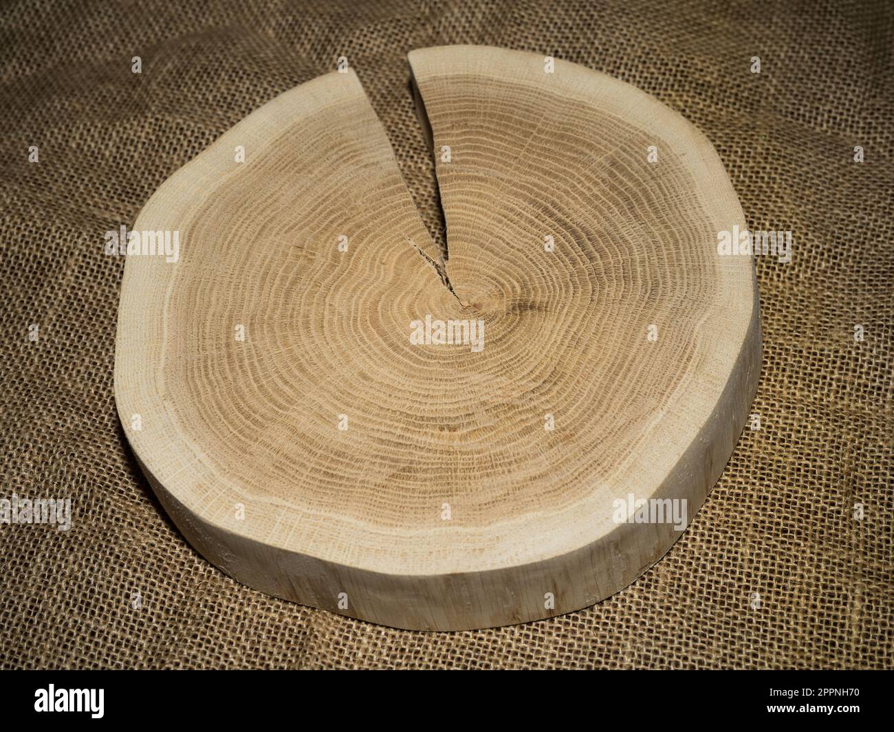 Wooden stump, cross section, cut wood tree trunk slice. Wooden serving ...
