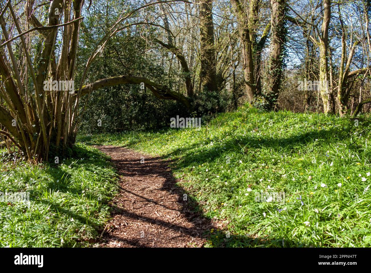 Empty footpath in springtime hi-res stock photography and images - Alamy