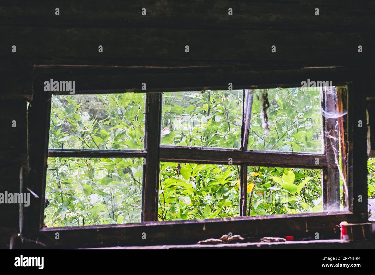 Old dark window in an abandoned house Stock Photo - Alamy