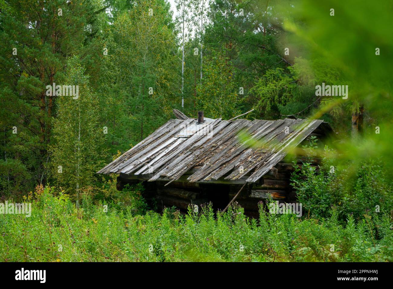 hunting lodge in Siberia. an old abandoned wooden house in the taiga ...