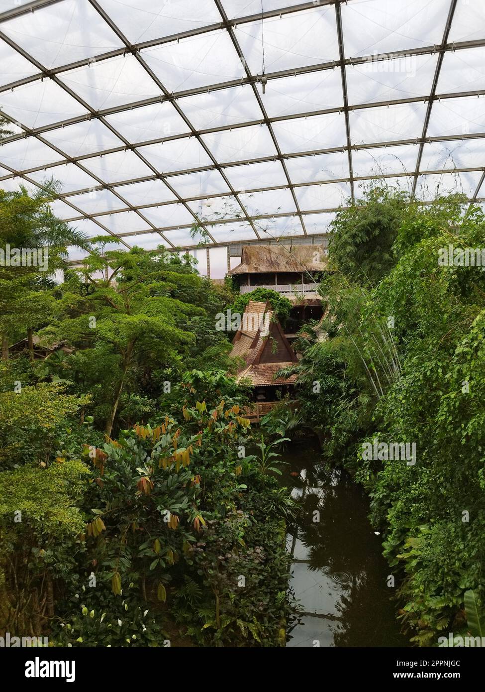 An indoor greenhouse, featuring a large glass window and green trees ...