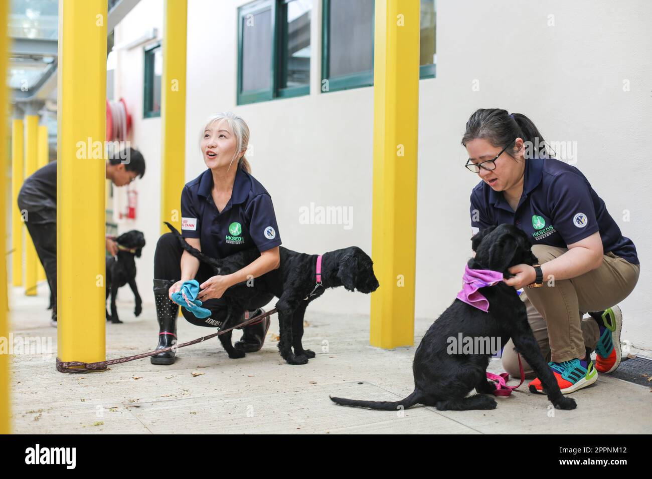 Puppy Walker Supervisor Ivy Hey Mong-wee (left) and Puppy Walker ...