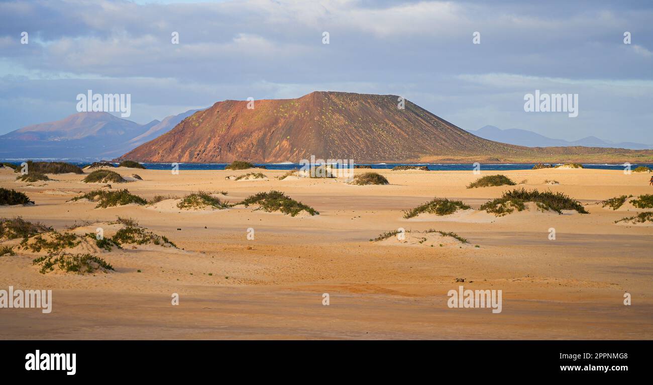 Isla de wolf hi-res stock photography and images - Alamy