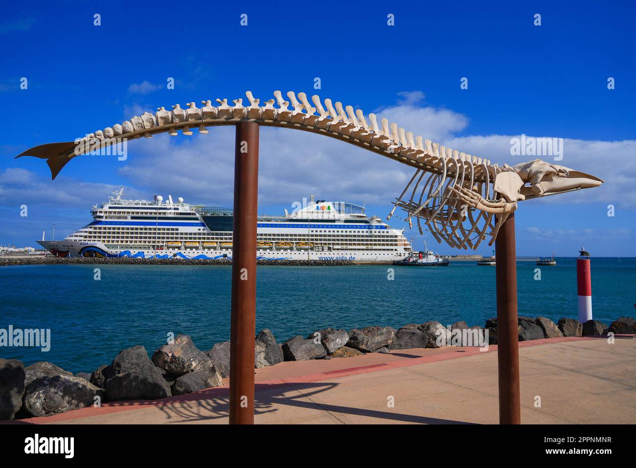 Fin whale skeleton displayed on a jetty by the Atlantic Ocean in Puerto ...