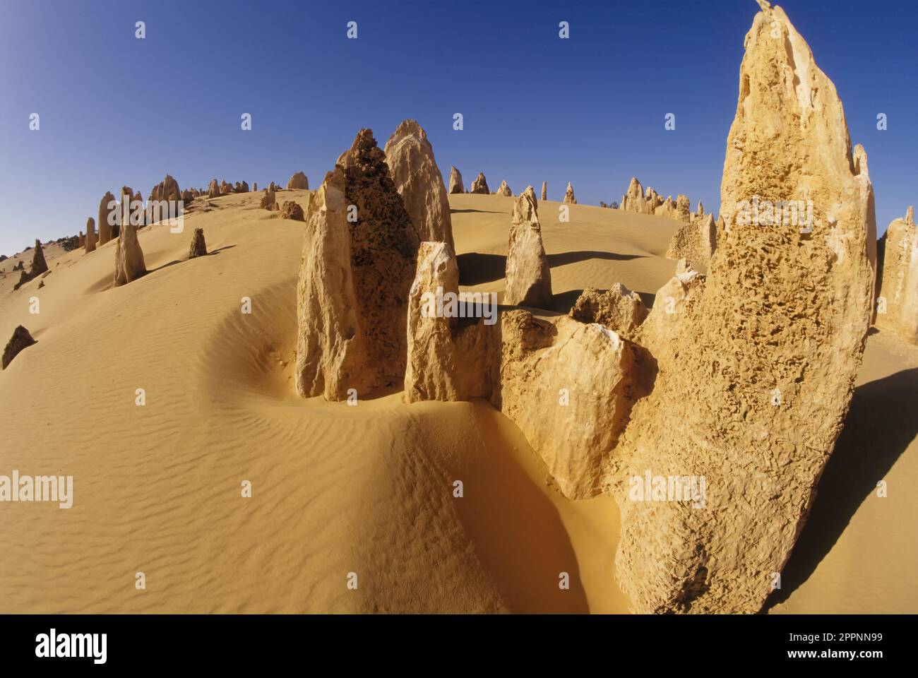 The Pinnacles are limestone formations within Nambung National Park ...