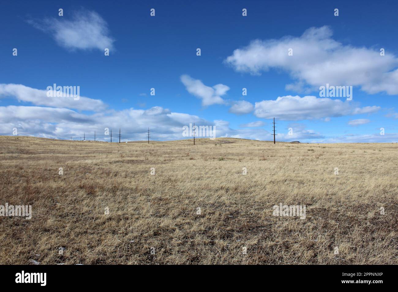 A flat grassland stretches under a deep blue sky. Power lines run in the background Stock Photo ...