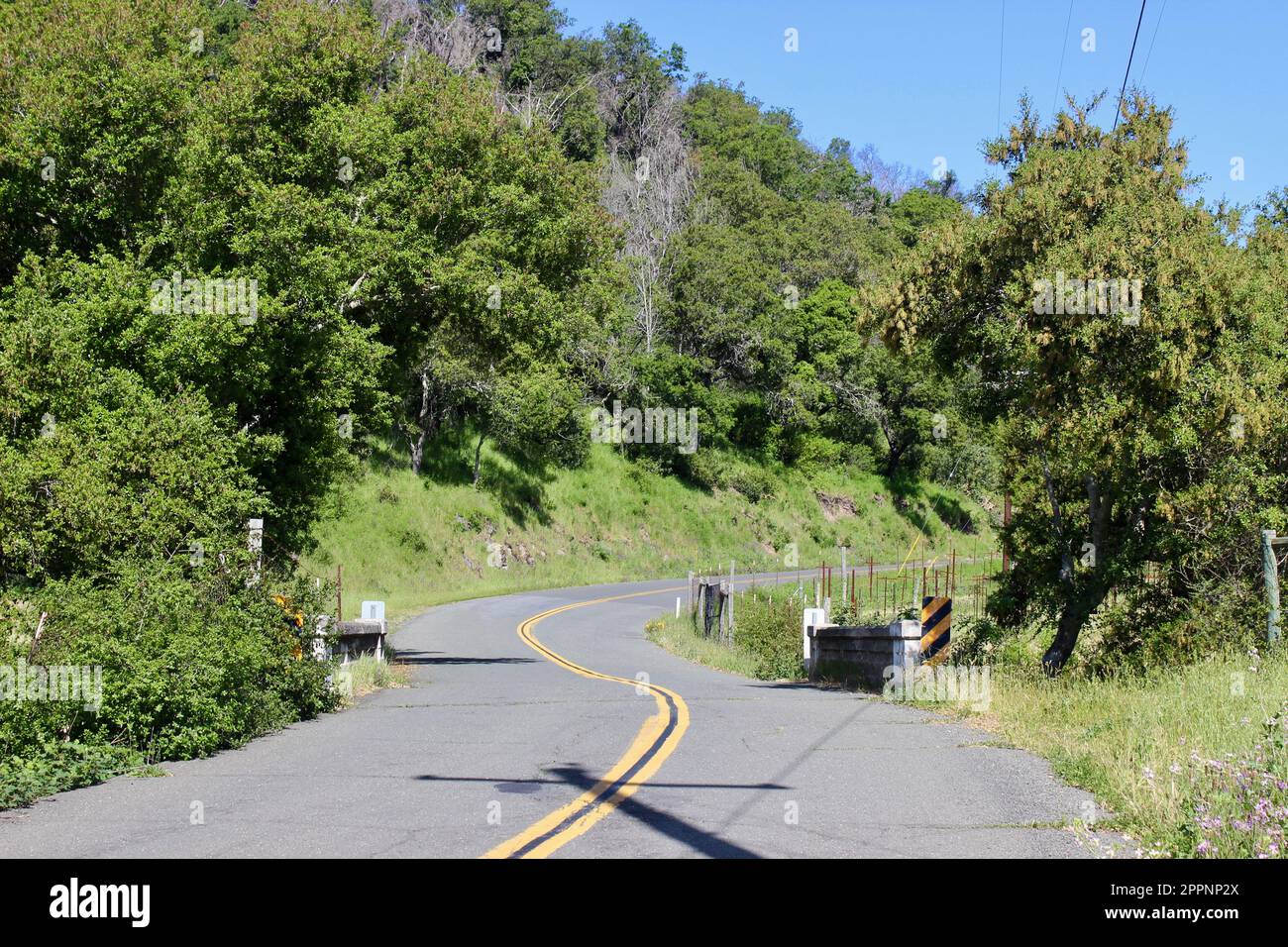 Spring canyon road in hi-res stock photography and images - Alamy