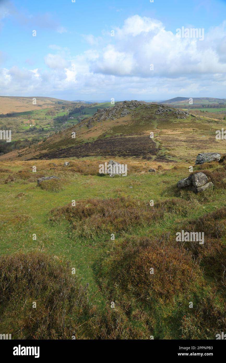 Dartmoor moorland tor moor spring hi-res stock photography and images ...