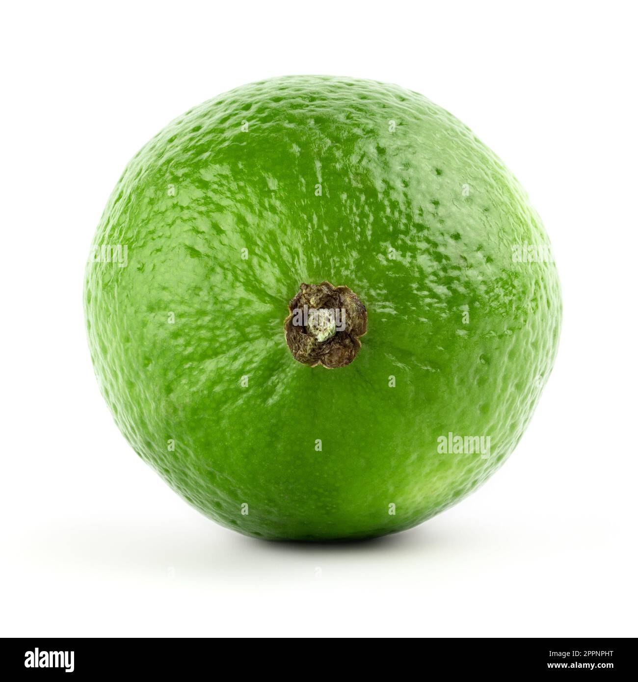 Lime isolated on white background Stock Photo - Alamy