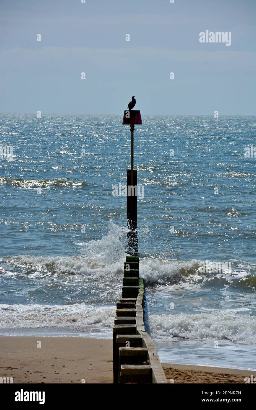 Cafe bournemouth hi-res stock photography and images - Alamy